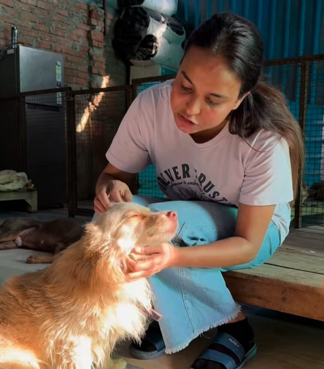 Love Shade For Animals